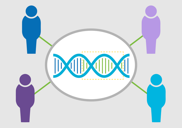 New research: Single prime editing system could potentially treat ...